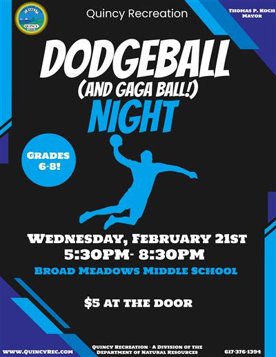 Quincy Recreation Department: Dodgeball & Gaga Ball Night